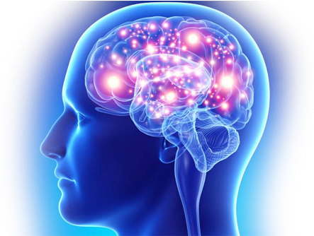 The Brain Tuner and Harmonic Frequencies—Balancing Brain Chemistry